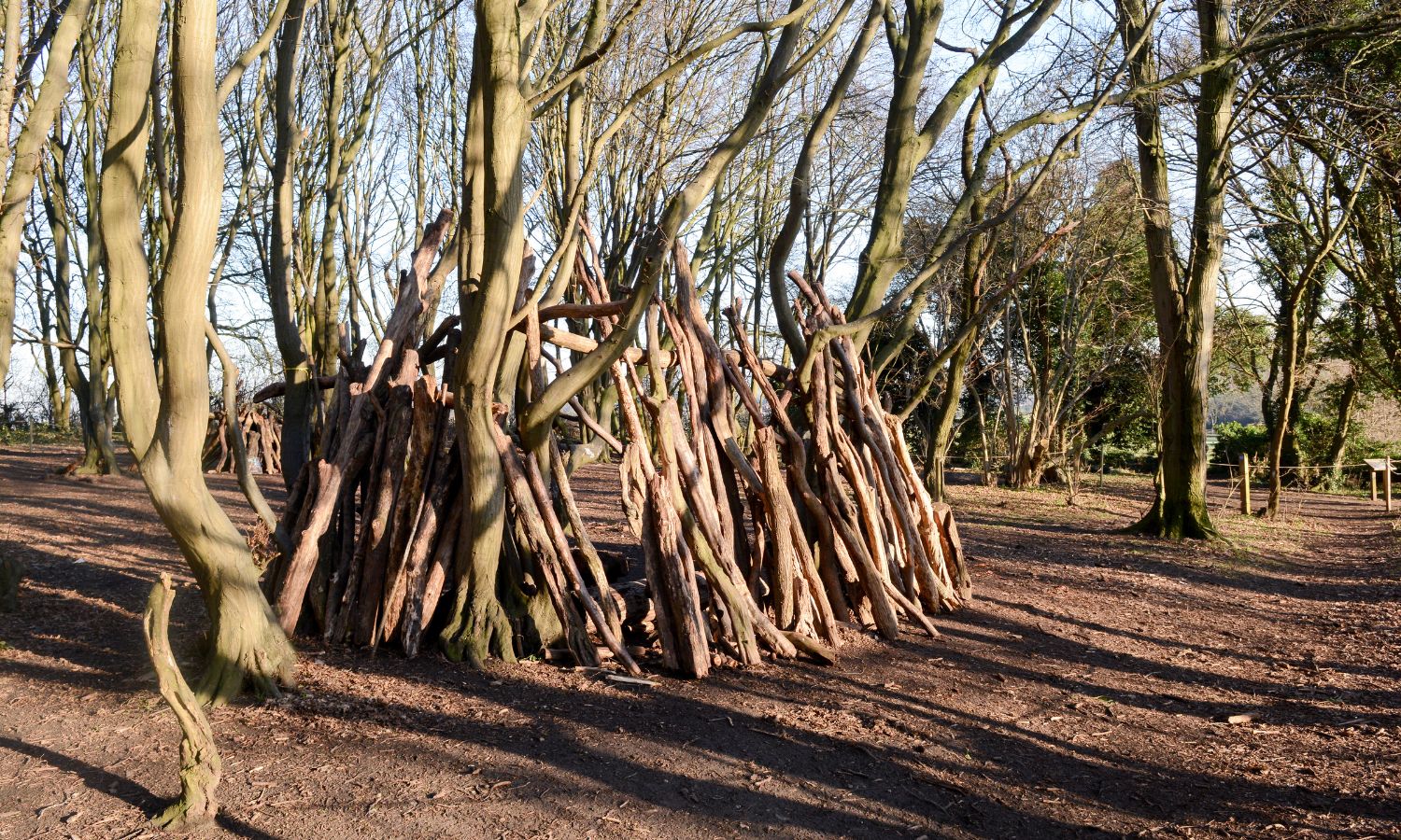 Den Building Championship | null