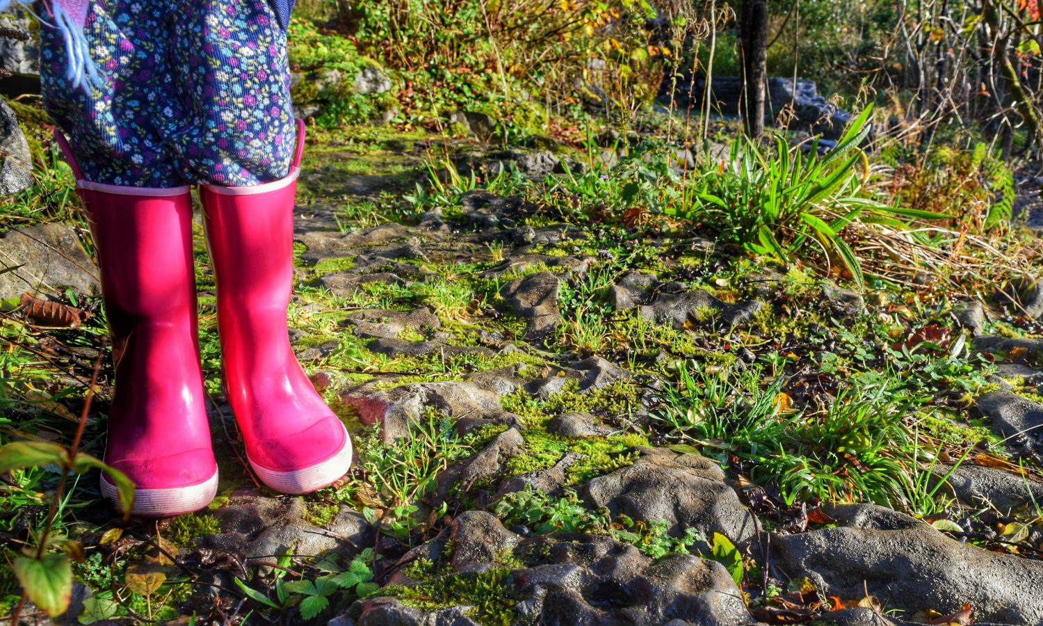 Wellies in the Woods at Central Park | null