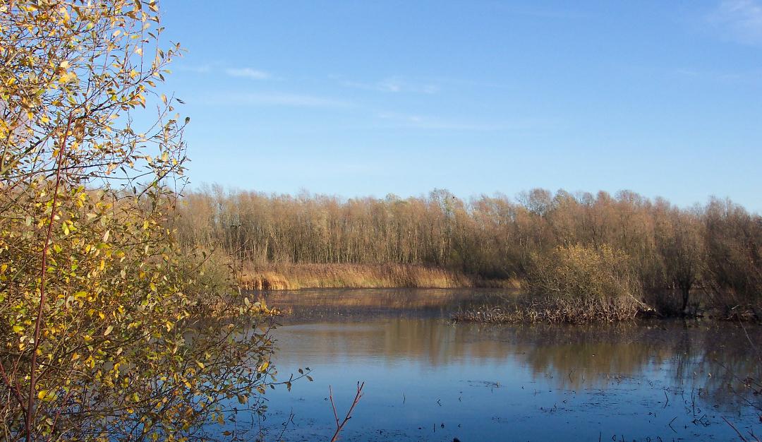 Lake at Paxton Pits