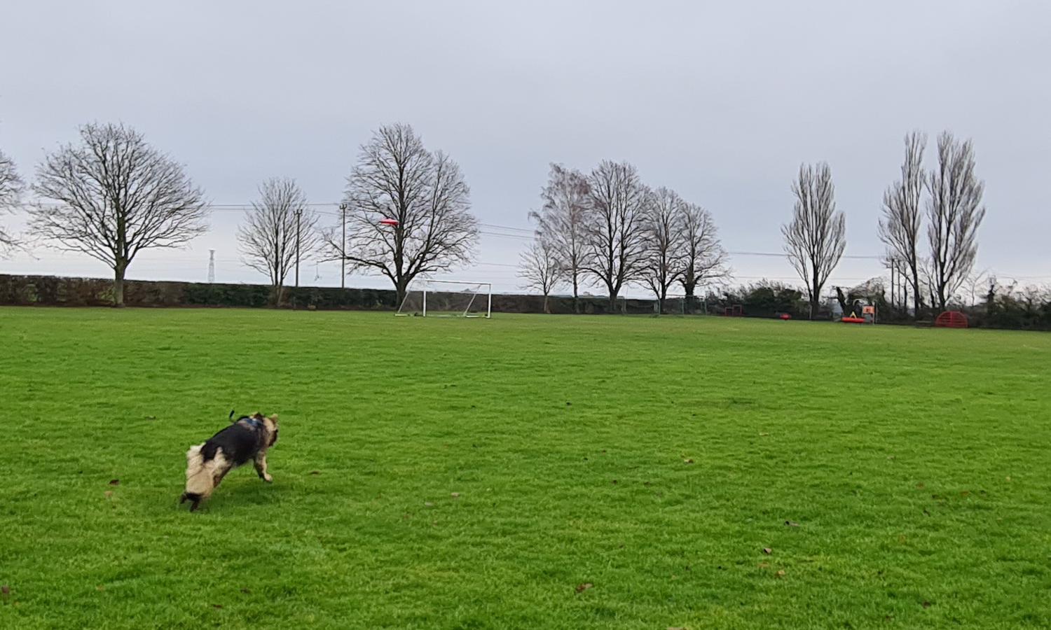 Green Space at Teversham Recreation Ground